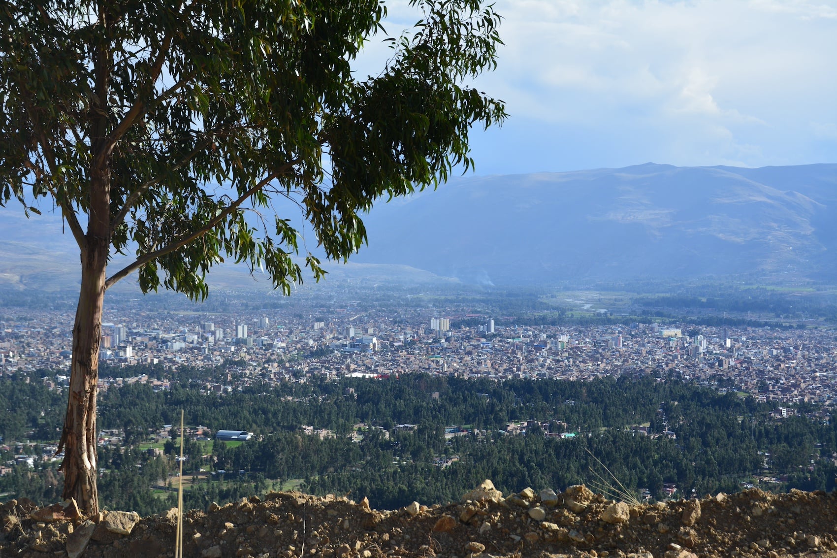 City Lights - Ciudad de Refugio
